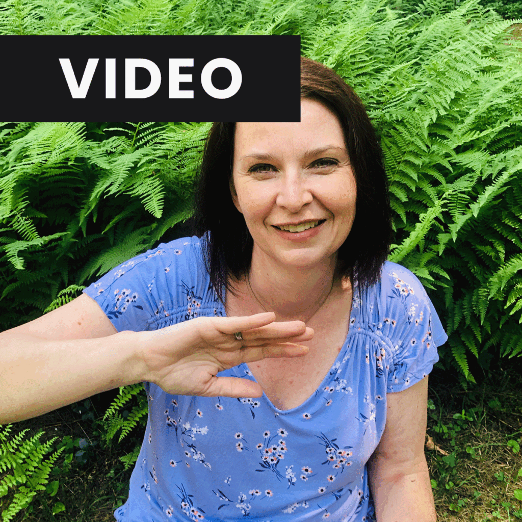 Why Does Fafsa Ask About Medicaid?